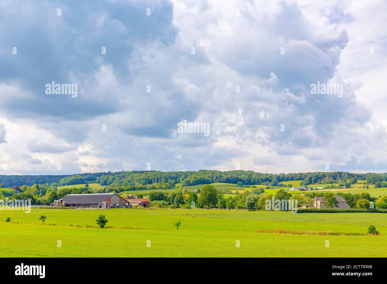Best of Limburg landscape, beautiful green scenery, hills, fields and meadow, vegetation and ...