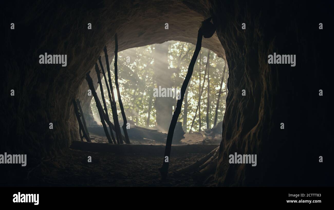 Shot Made Out of the Cave into Prehistoric Forest. Living Place of ...