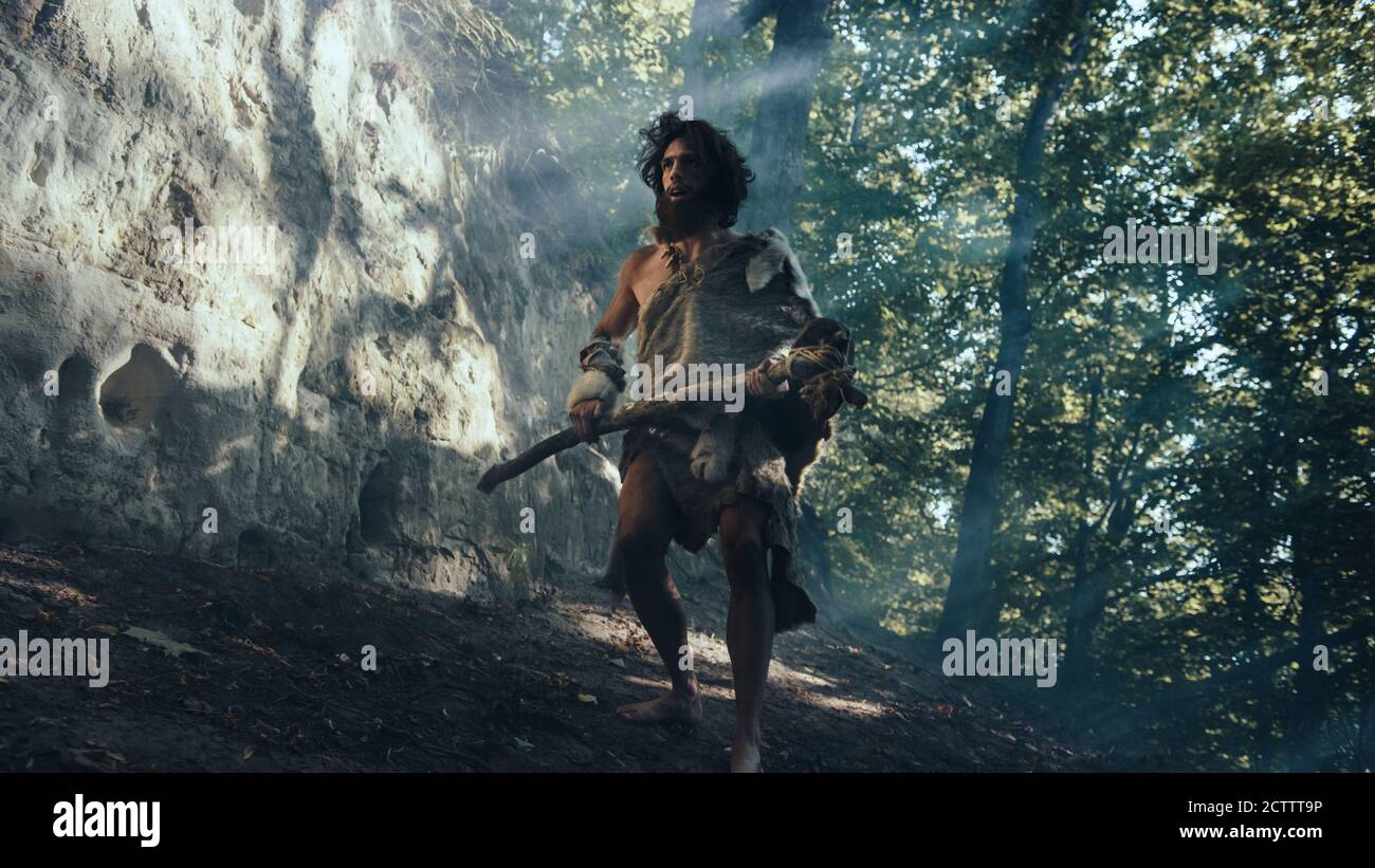 Primeval Caveman Wearing Animal Skin Holds Stone Tipped Hammer Comes ...
