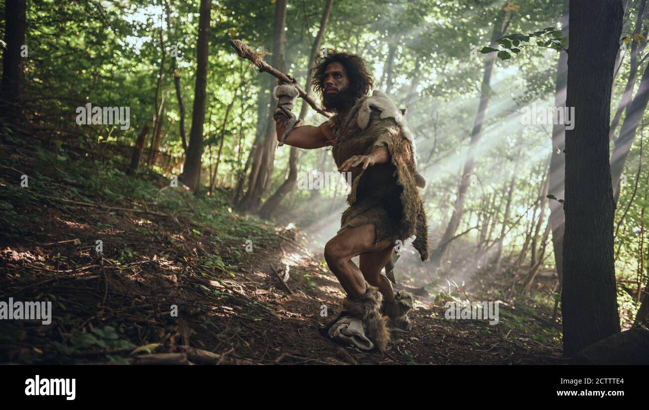 Primeval Caveman Wearing Animal Skin Holds Stone Tipped Spear Looks ...