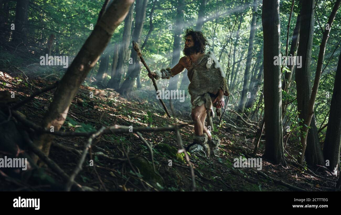 Primeval Caveman Wearing Animal Skin Holds Stone Tipped Spear Looks ...