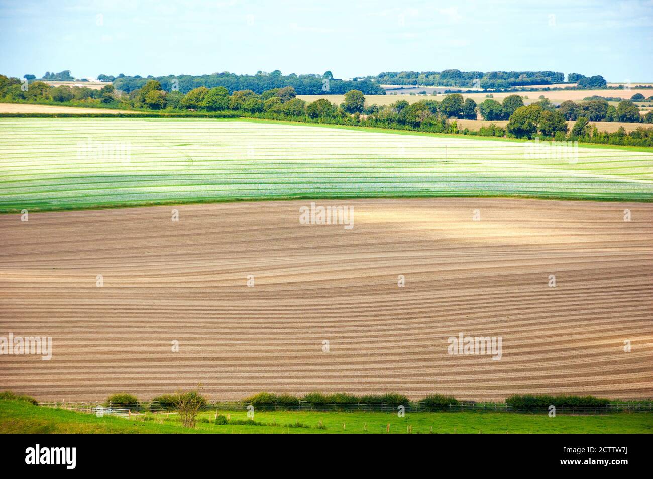 Rural England landscape. Wiltshire. Farming land. Rows. A game of light ...