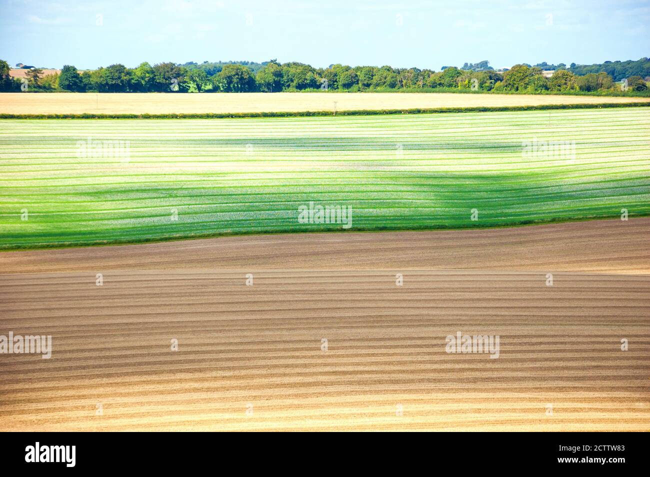 Rural England landscape. Wiltshire. Farming land. Rows. A game of light ...