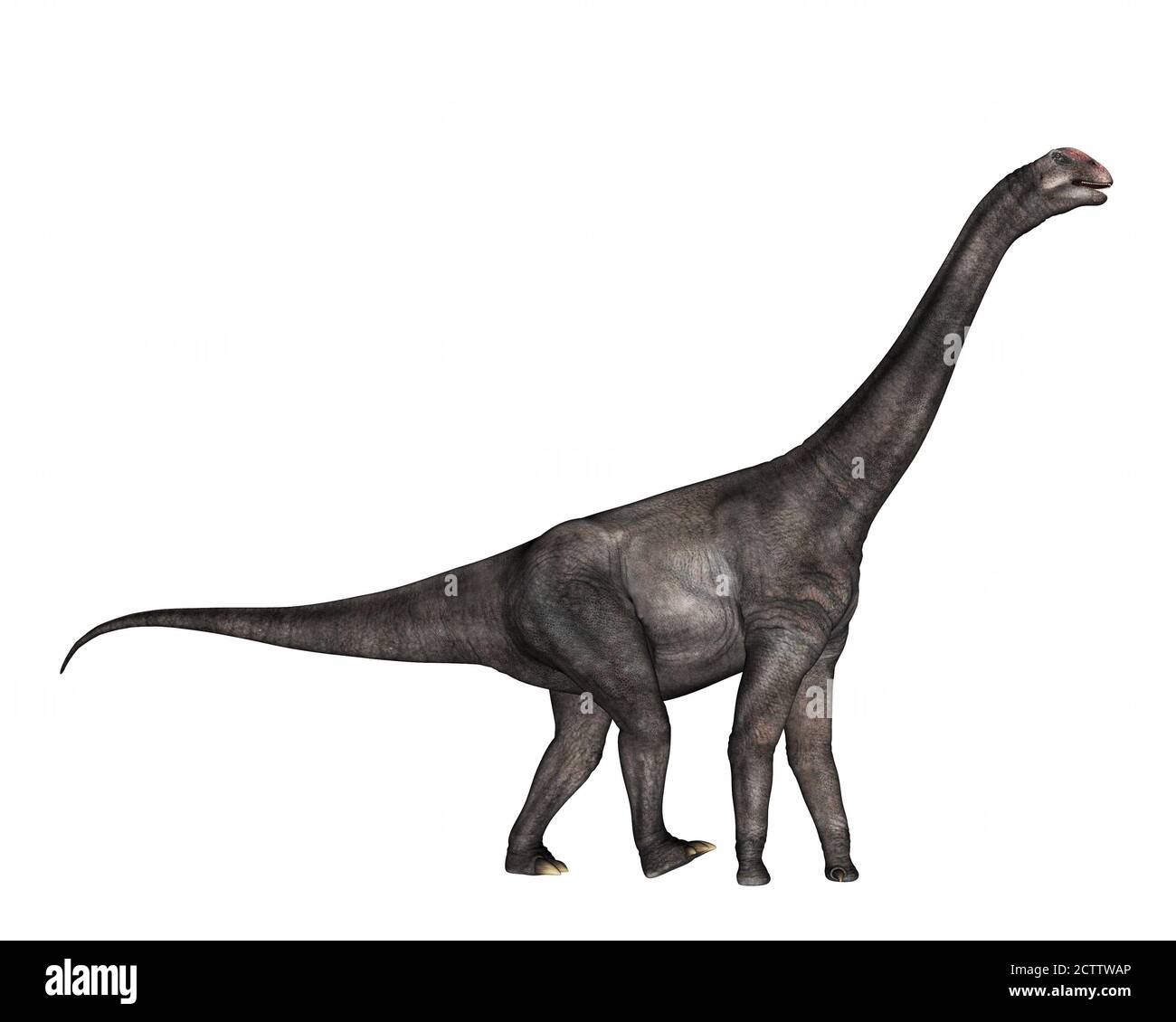 Brontomerus dinosaur - 3D render Stock Photo - Alamy