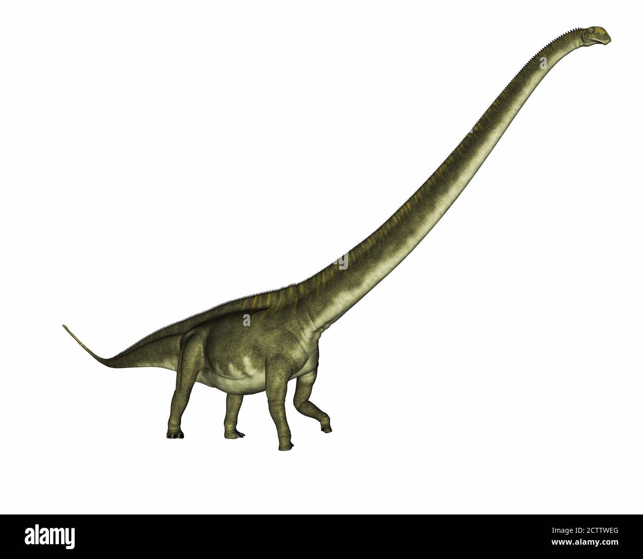 Mamenchisaurus dinosaur - 3D render Stock Photo - Alamy