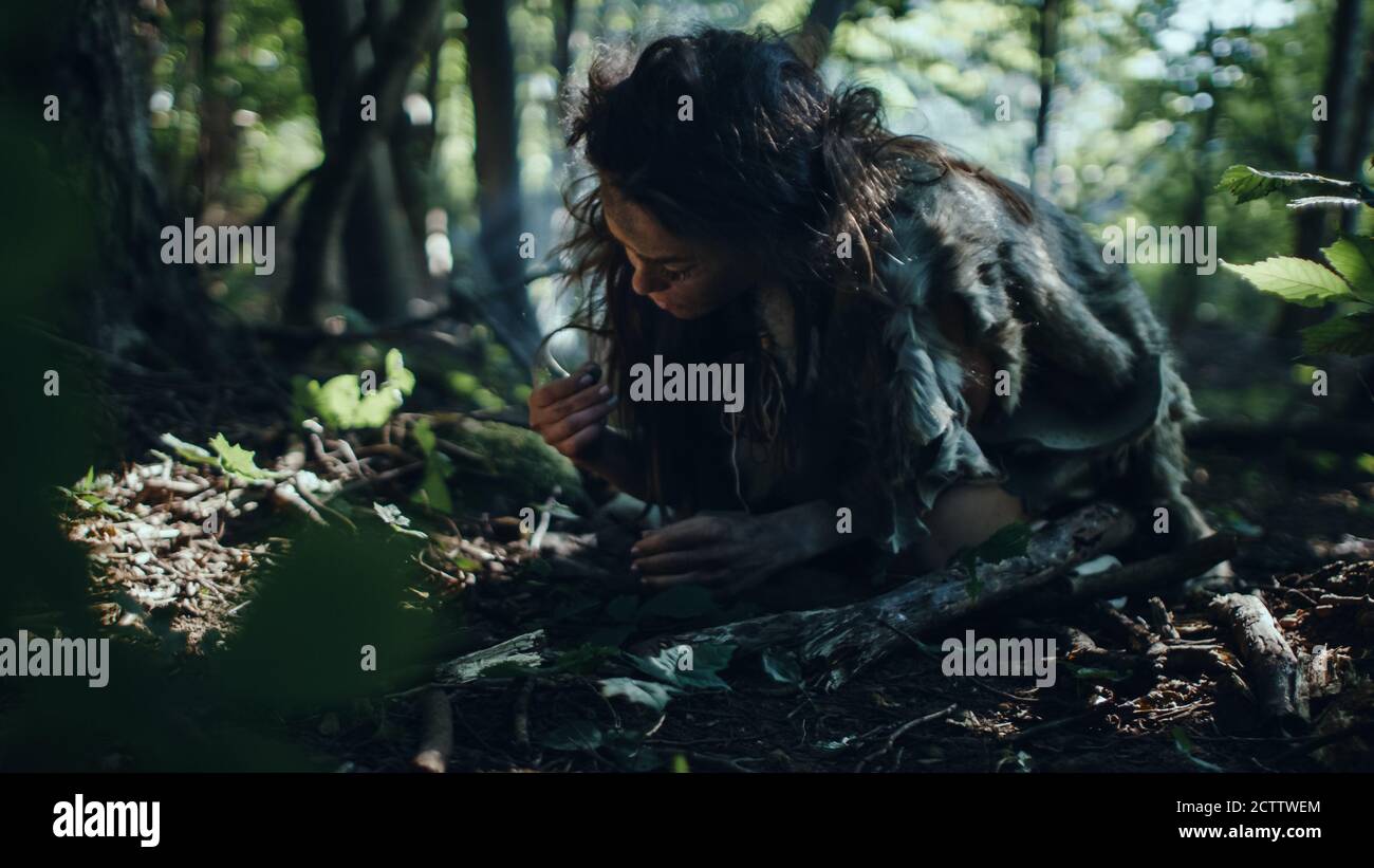 Hunter gatherer prehistoric hi-res stock photography and images - Alamy