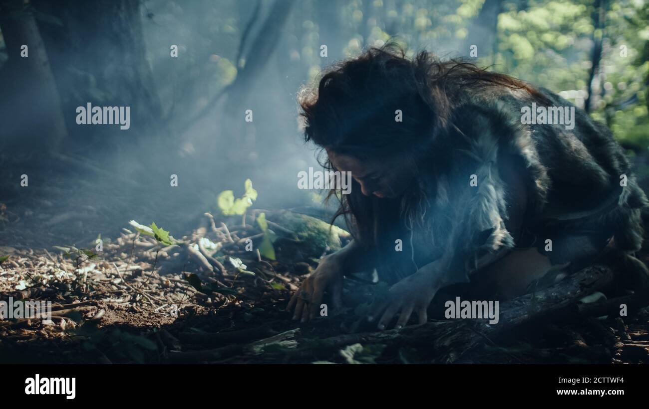 Hunter gatherer prehistoric hi-res stock photography and images - Alamy