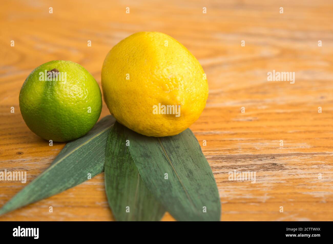 Drinking lemon water hi-res stock photography and images - Alamy