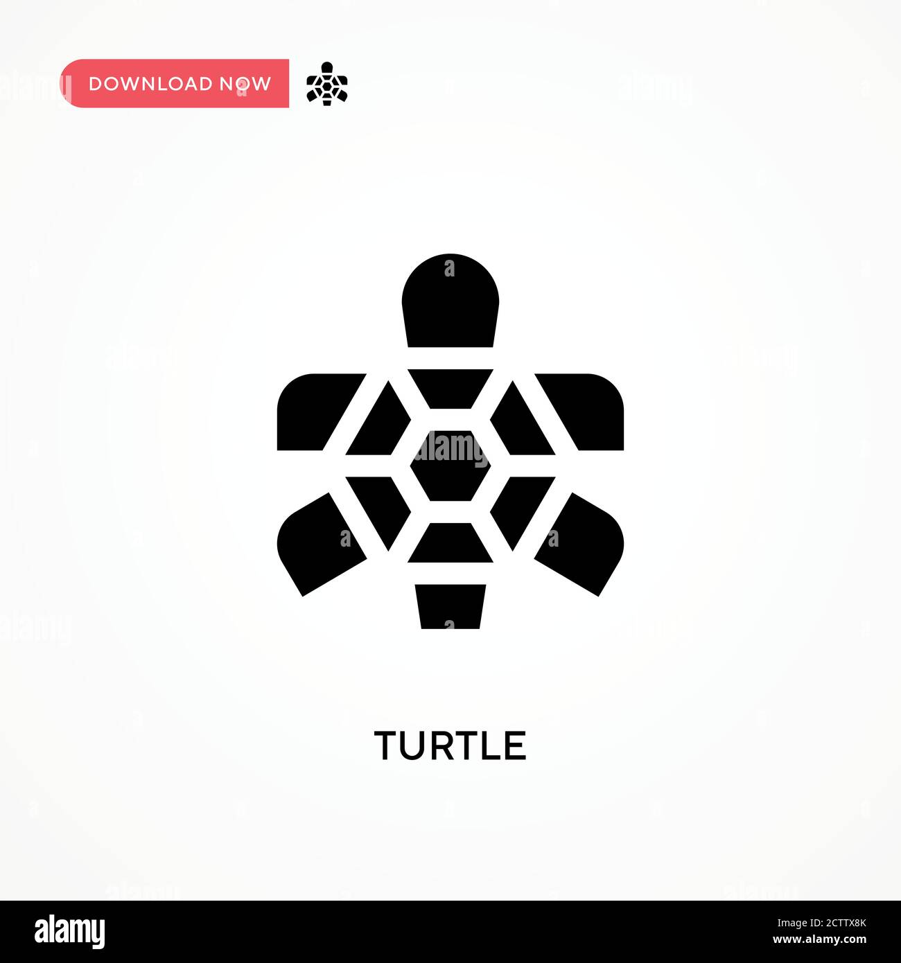 Turtle vector icon. . Modern, simple flat vector illustration for web ...