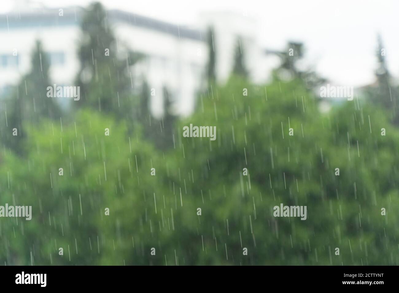Blurry heavy rain falling hi-res stock photography and images - Alamy