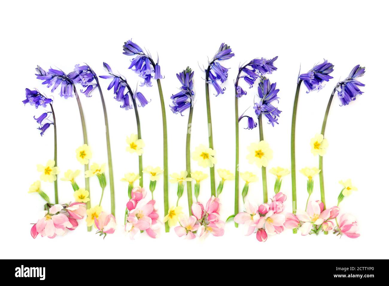 Abstract spring wildflower composition with apple blossom, bluebells ...