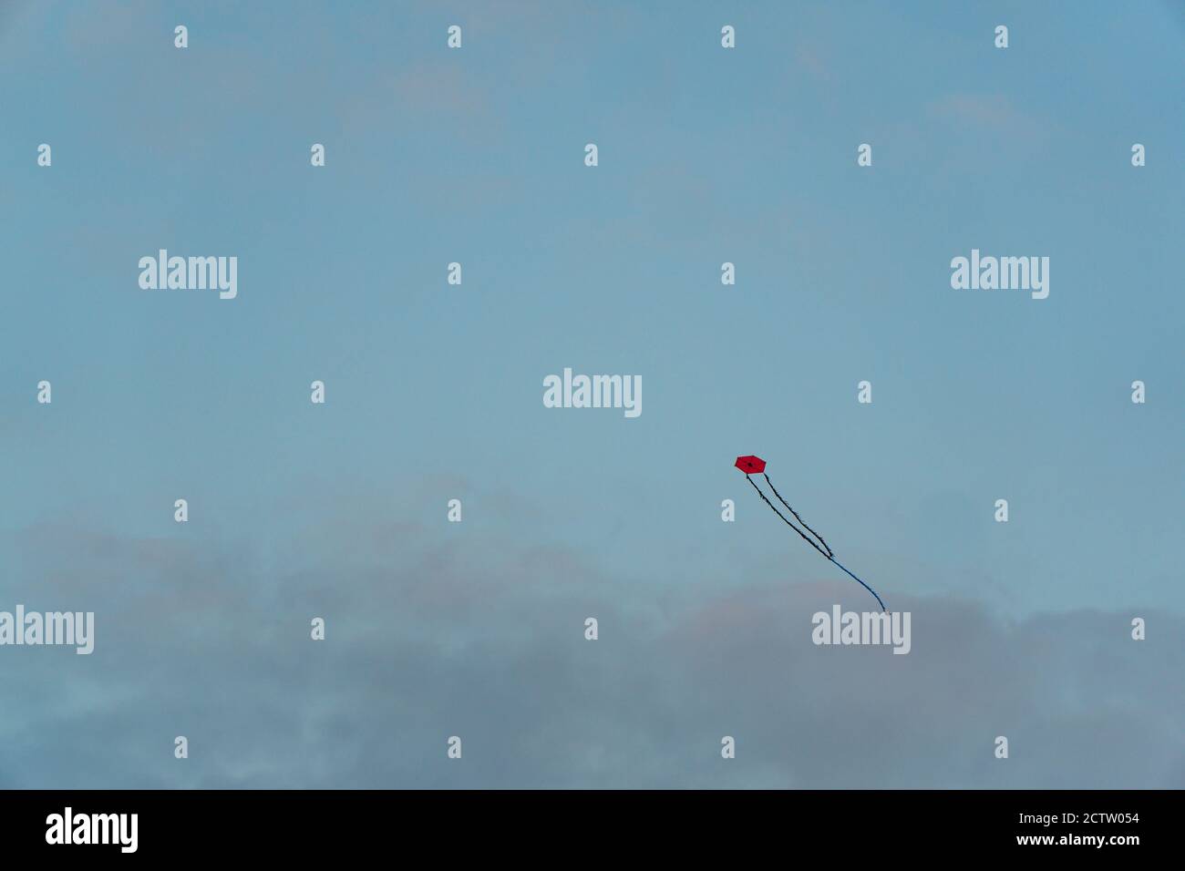 Red Kite Flying Blue Sky Background Stock Photo - Alamy