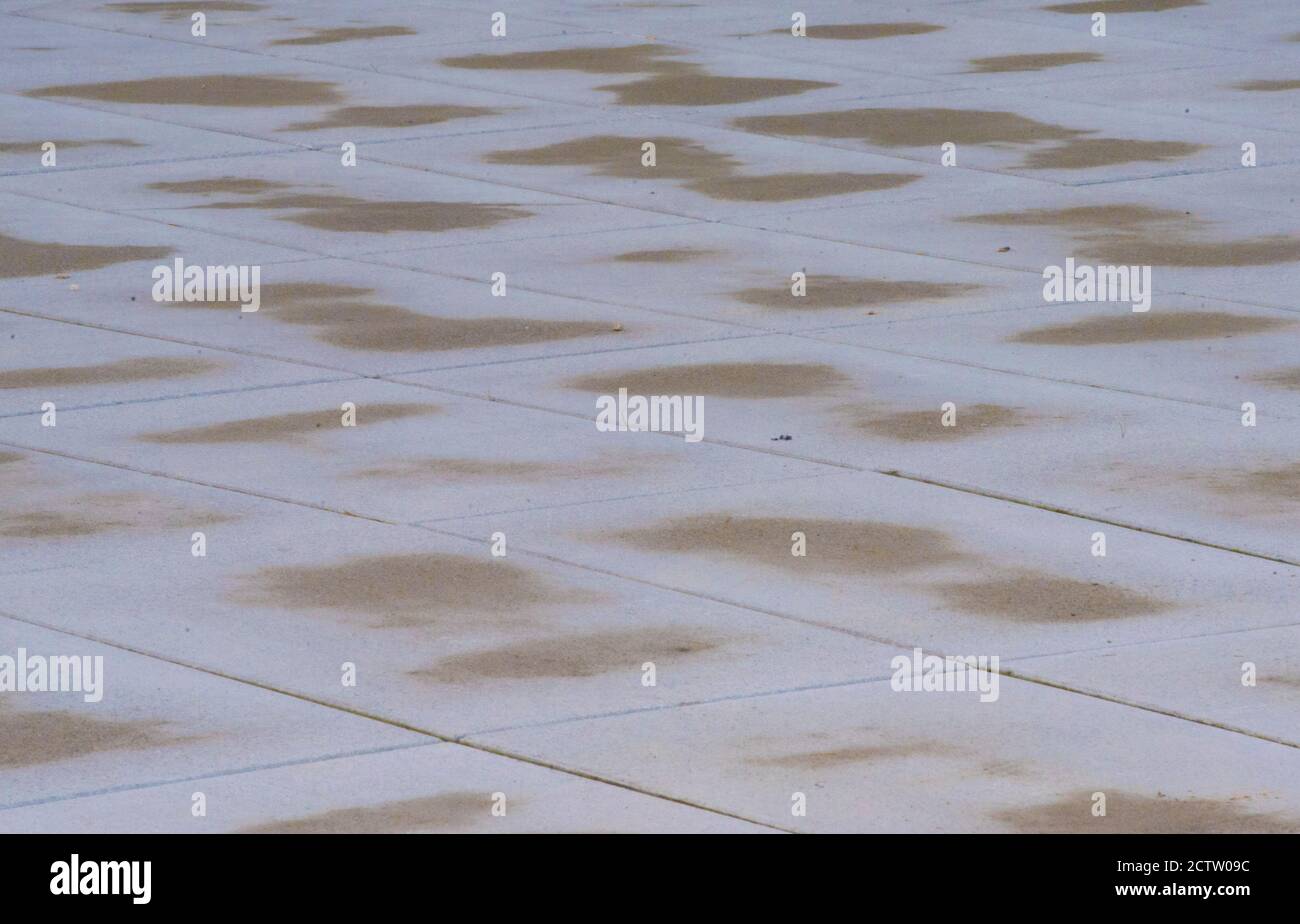 square or rectangular shaped object, pattern and texture on a surface ...