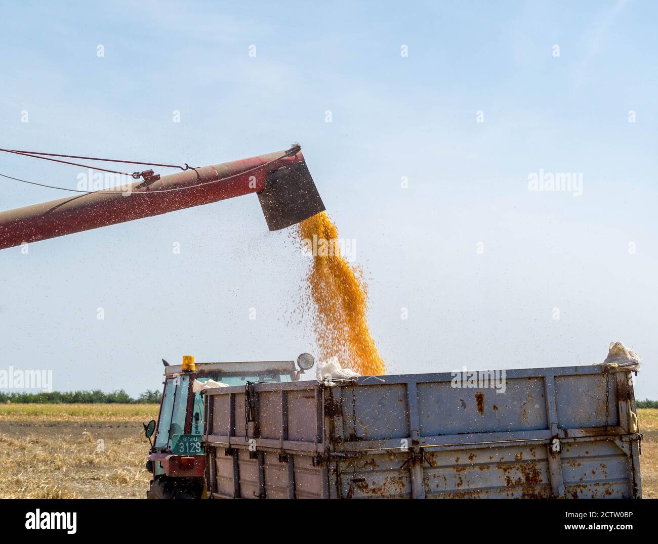 Loading corn hi-res stock photography and images - Alamy