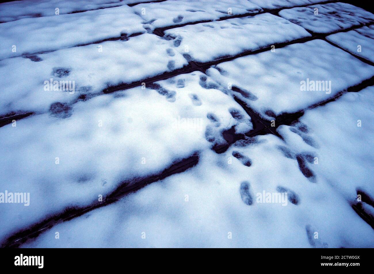 square or rectangular shaped object, pattern and texture on a surface ...