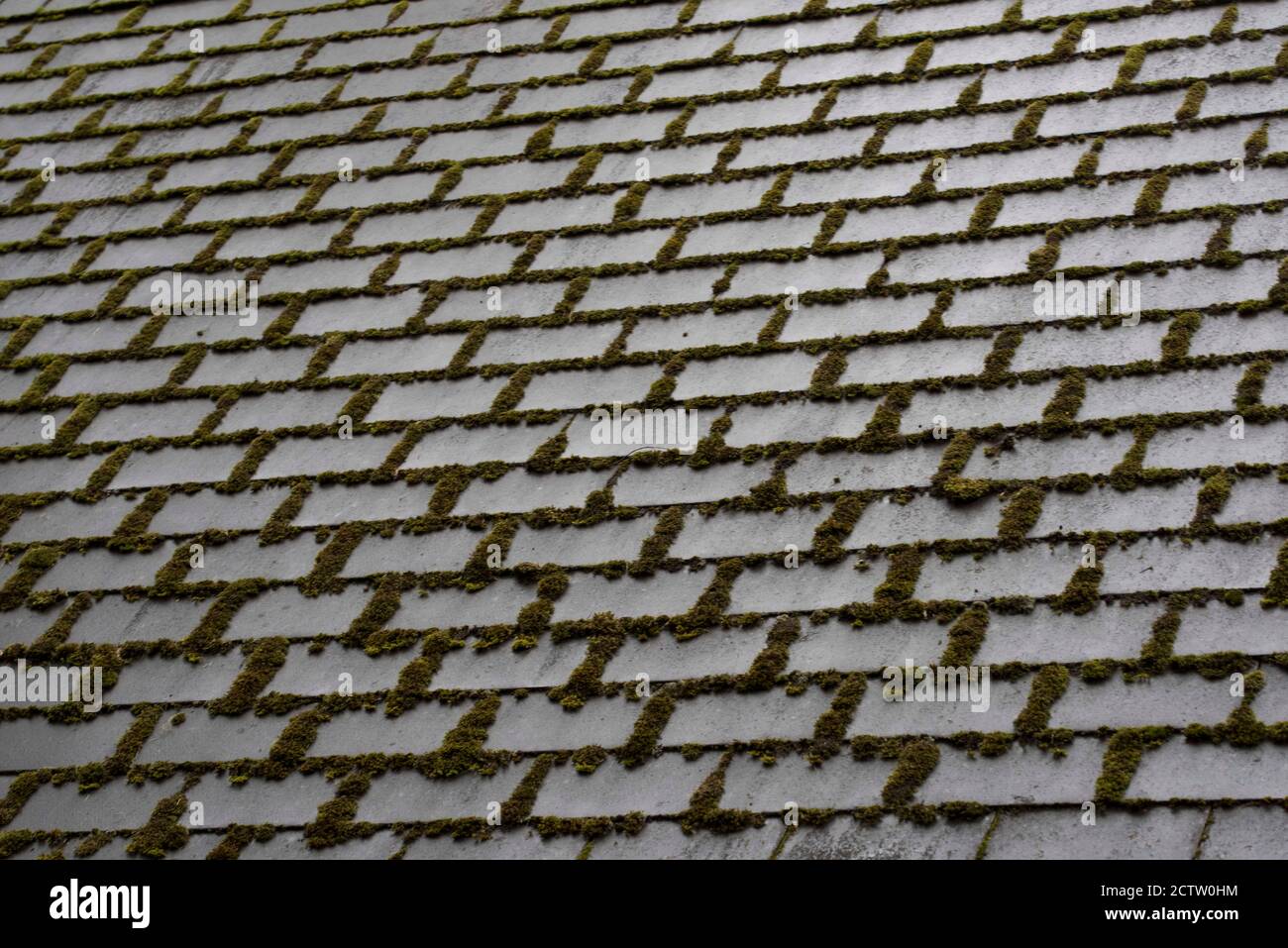 square or rectangular shaped object, pattern and texture on a surface ...