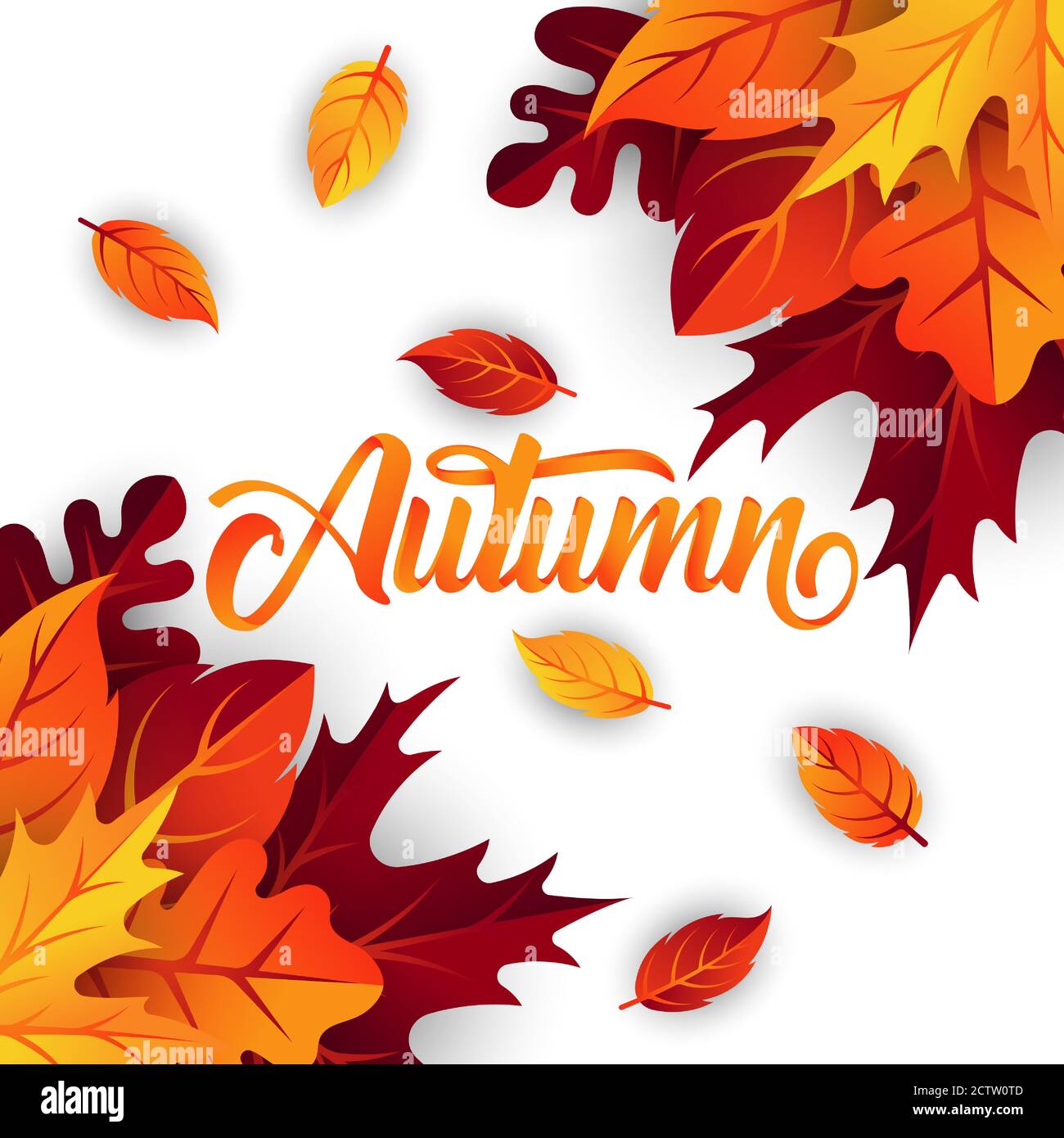 Autumn background vector with decorative leaves. Autumn fall Vector background template ...