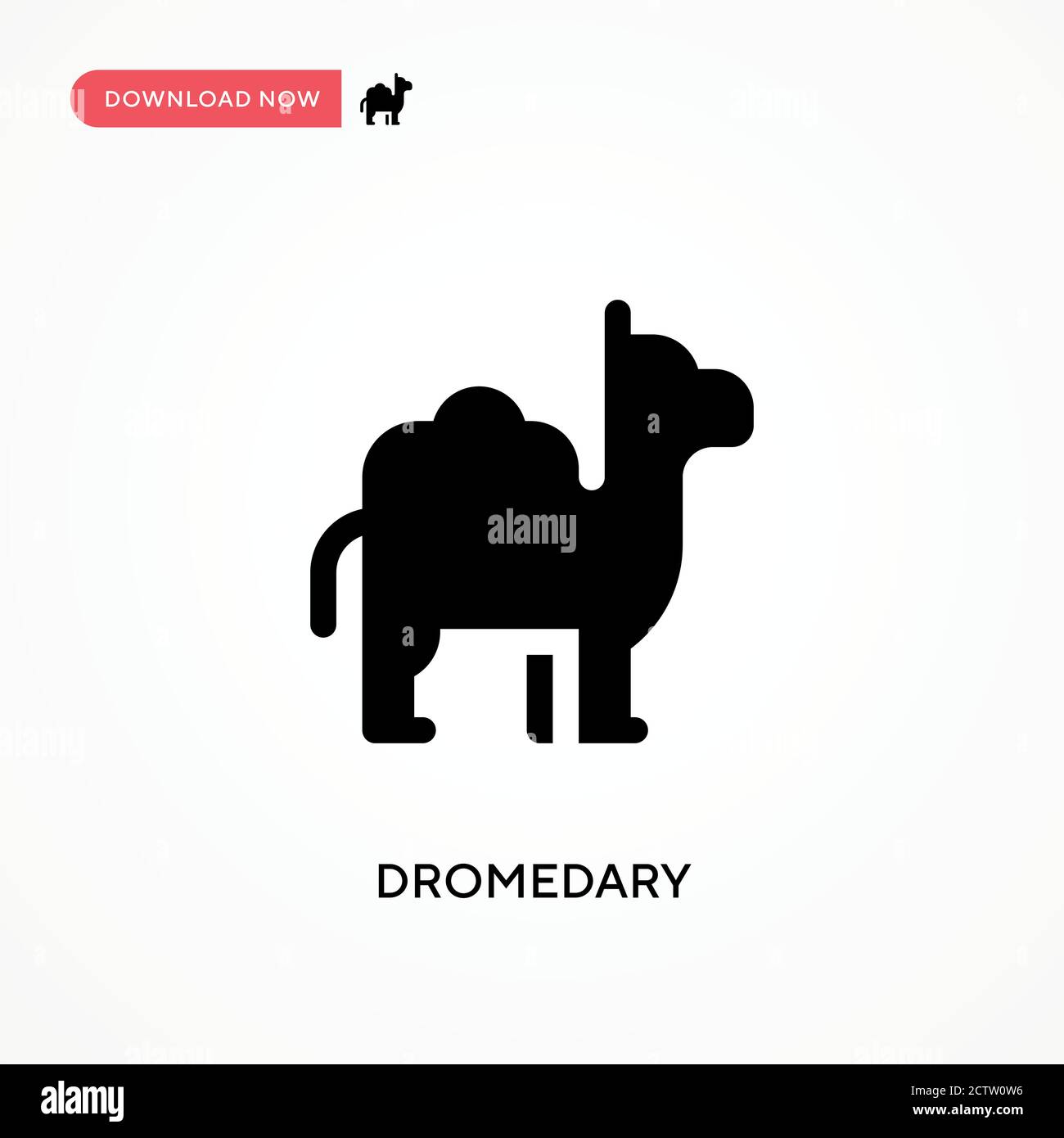 Dromedary vector icon. . Modern, simple flat vector illustration for ...