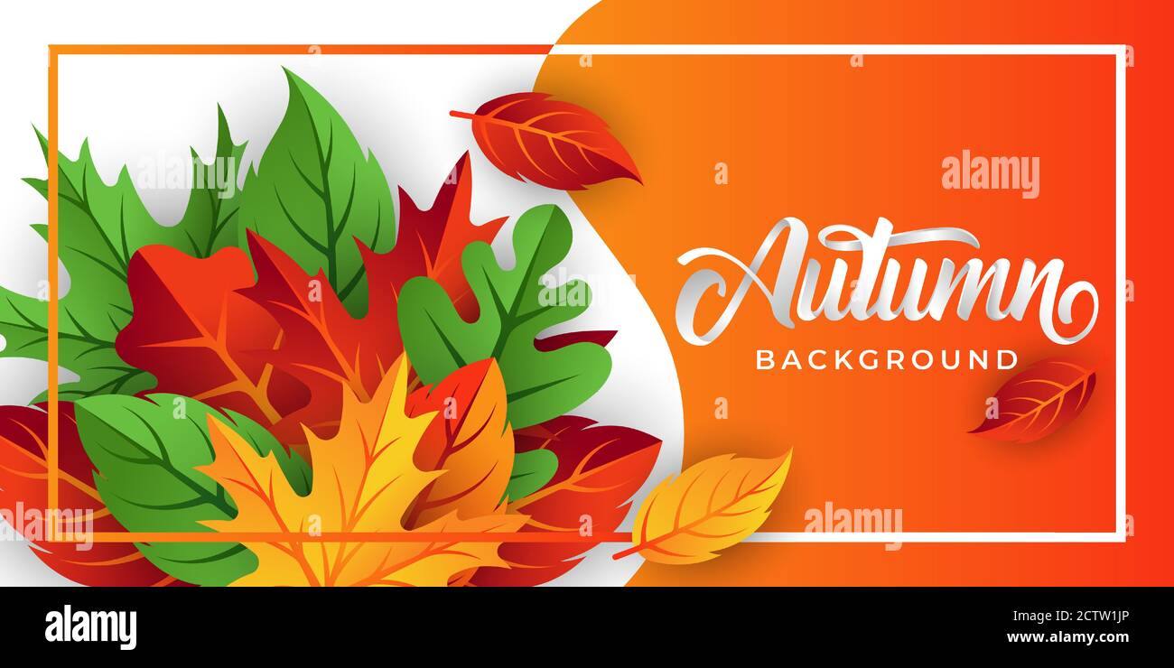 Autumn background vector with decorative leaves. Autumn fall Vector ...