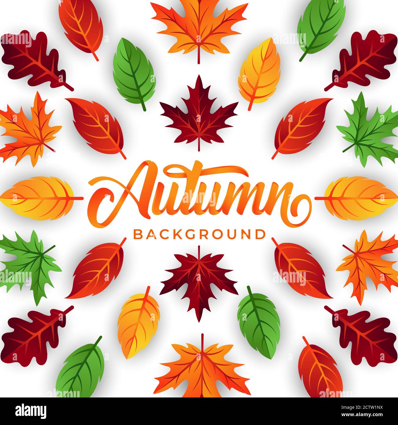 Autumn background vector with decorative leaves. Autumn fall Vector background template ...