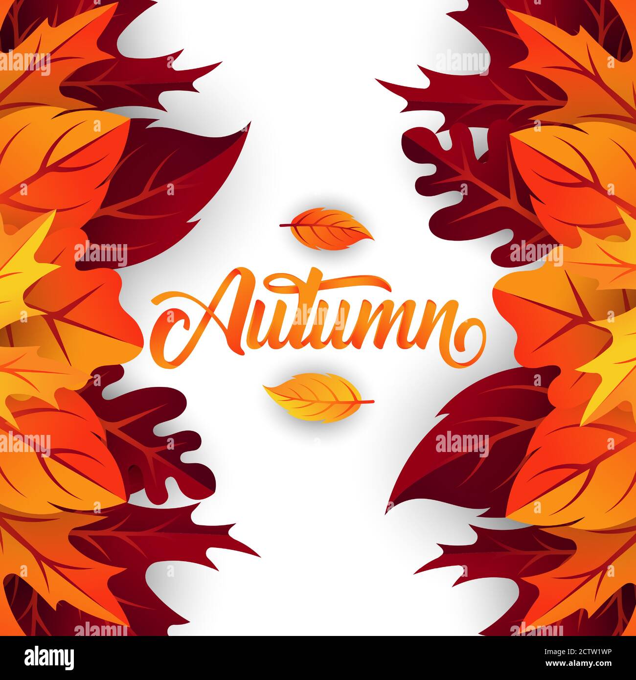 Autumn background vector with decorative leaves. Autumn fall Vector background template ...