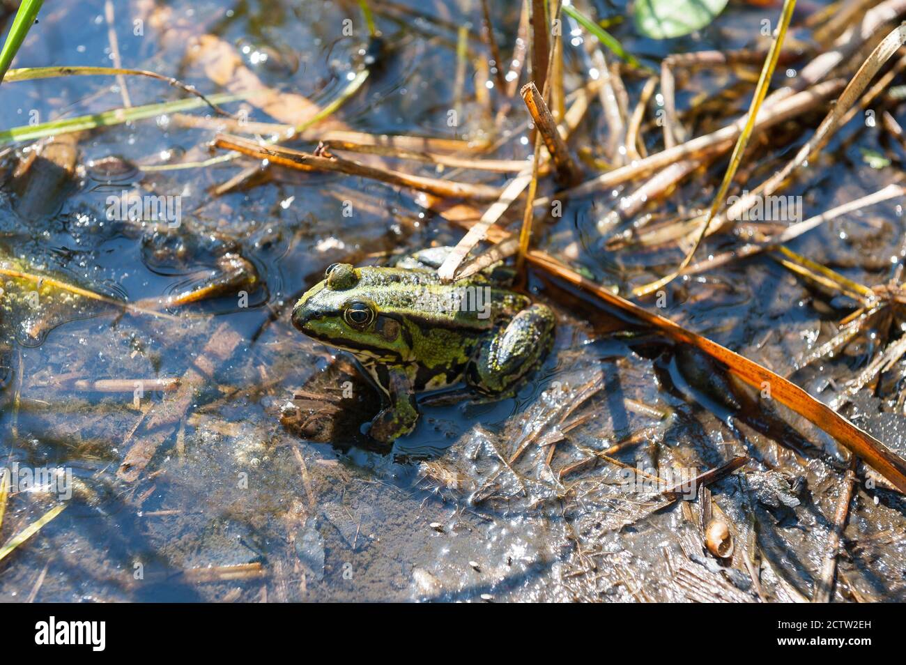 Polska land eu hi-res stock photography and images - Alamy