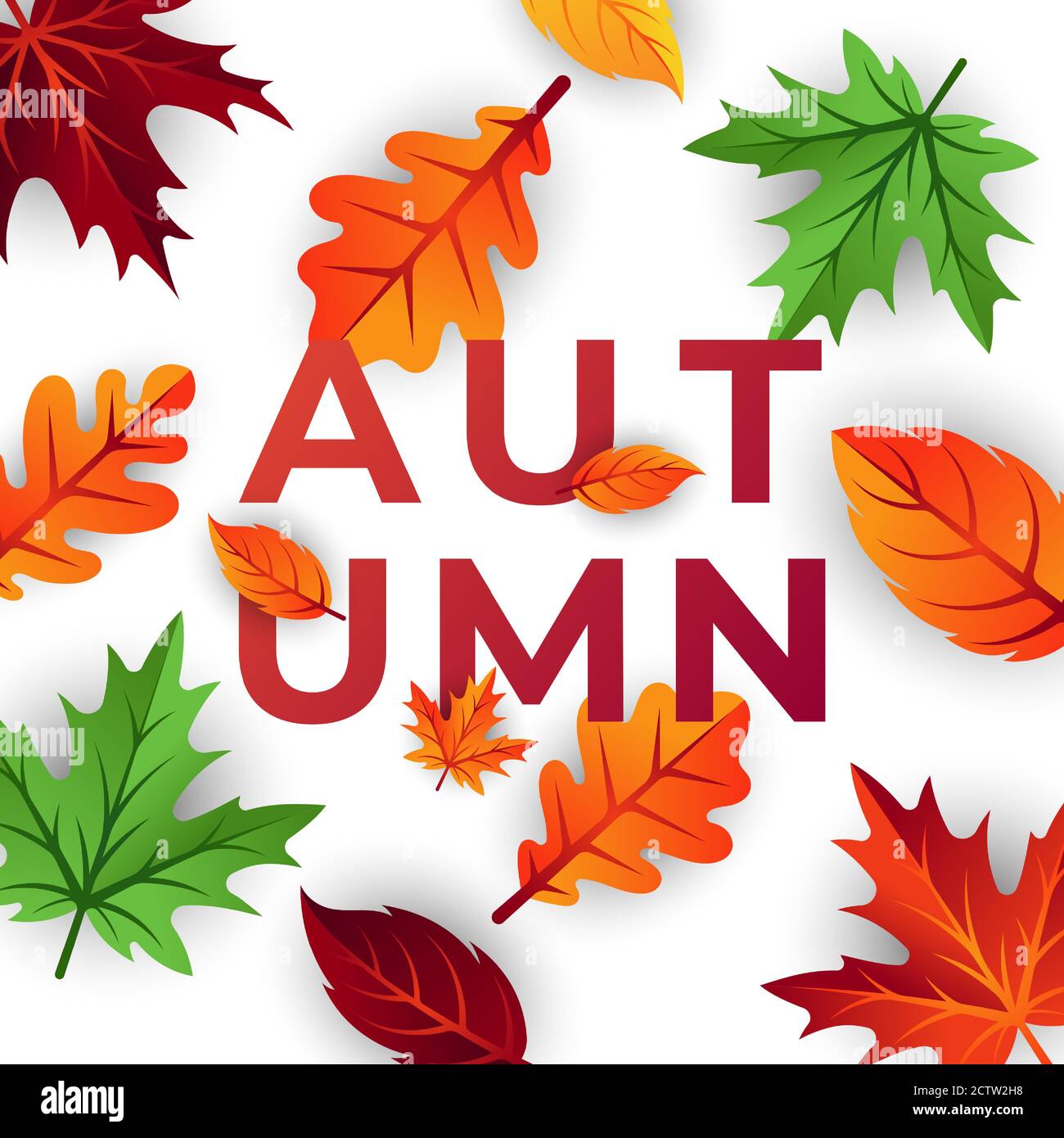 Autumn background vector with decorative leaves. Autumn fall Vector ...