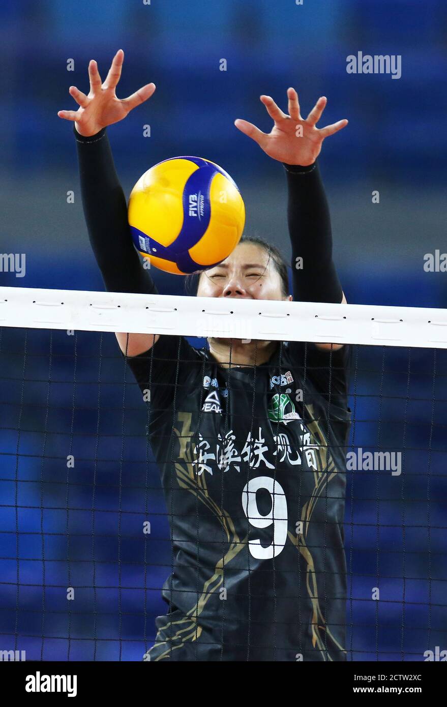 Lin lang hi-res stock photography and images - Alamy