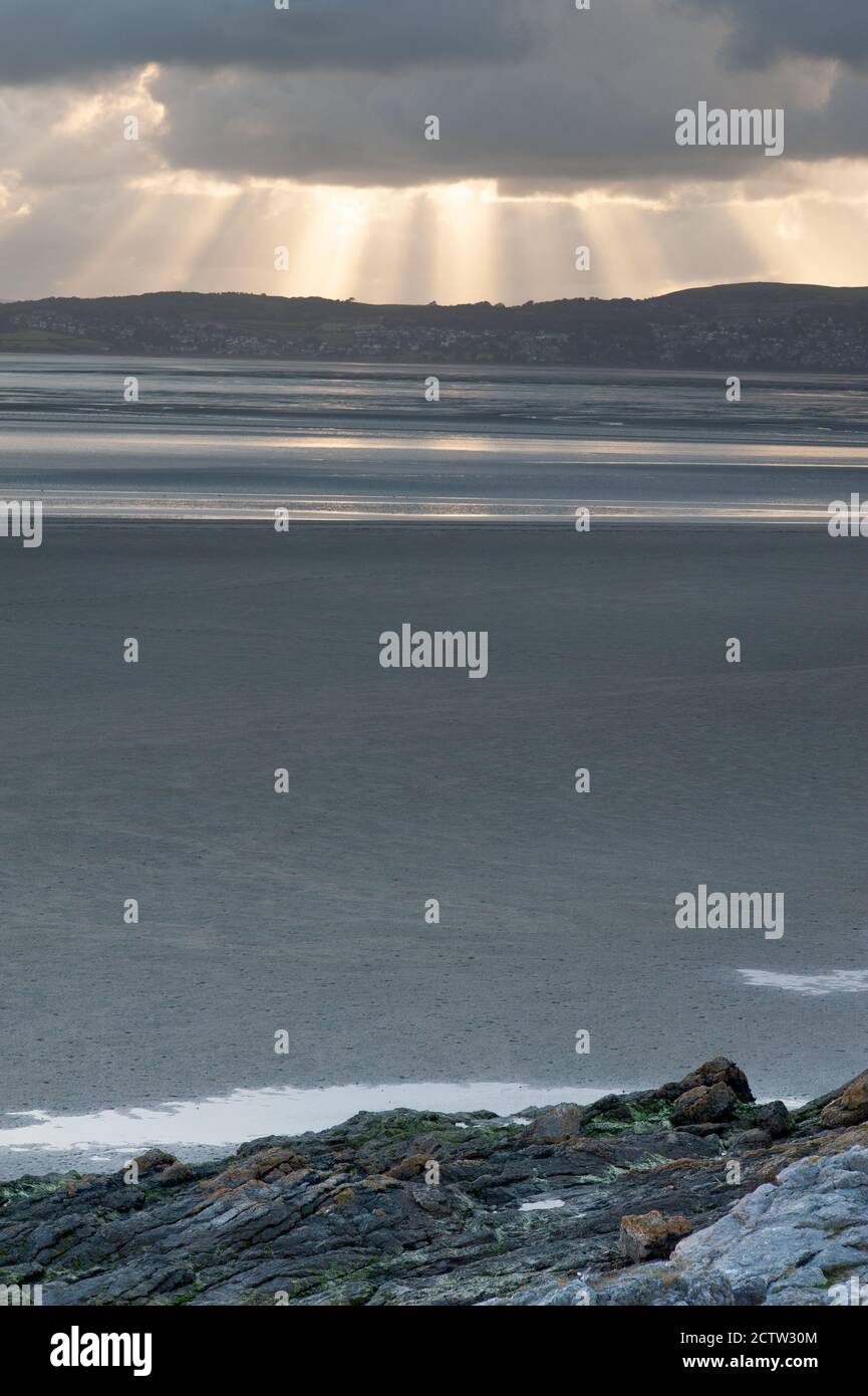 Morecambe Bay Saltmarsh High Resolution Stock Photography and Images ...