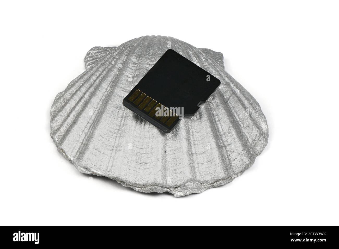 SD memory card on silver seashell isolated on white background. High ...