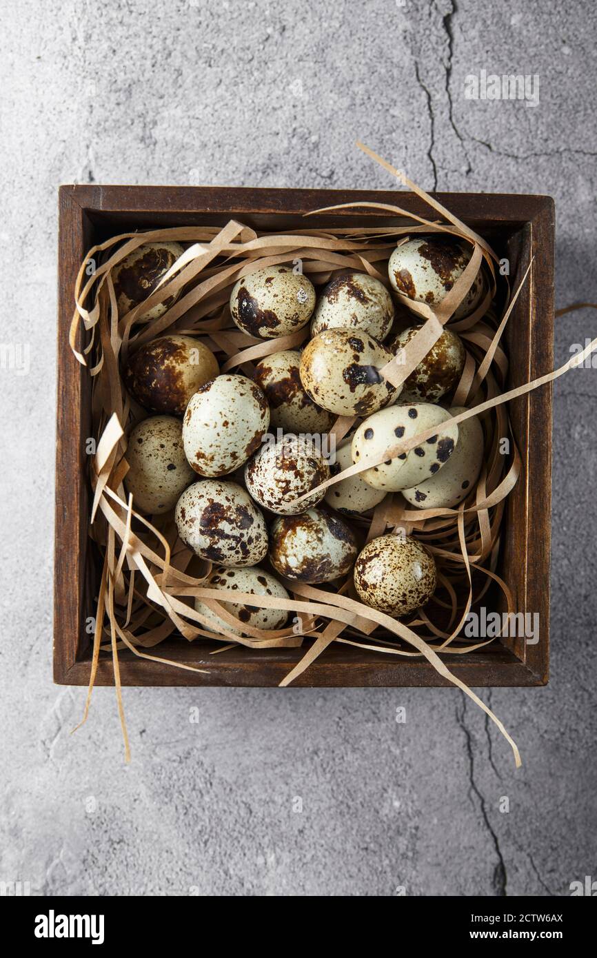 Quail eggs. Flat lay composition with small quail eggs in the wooden ...