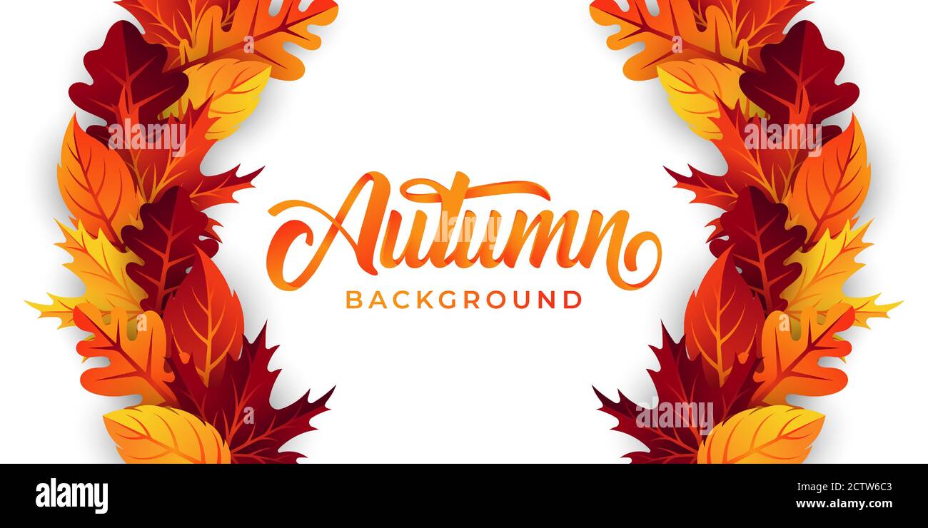 Autumn background vector with decorative leaves. Autumn fall Vector ...