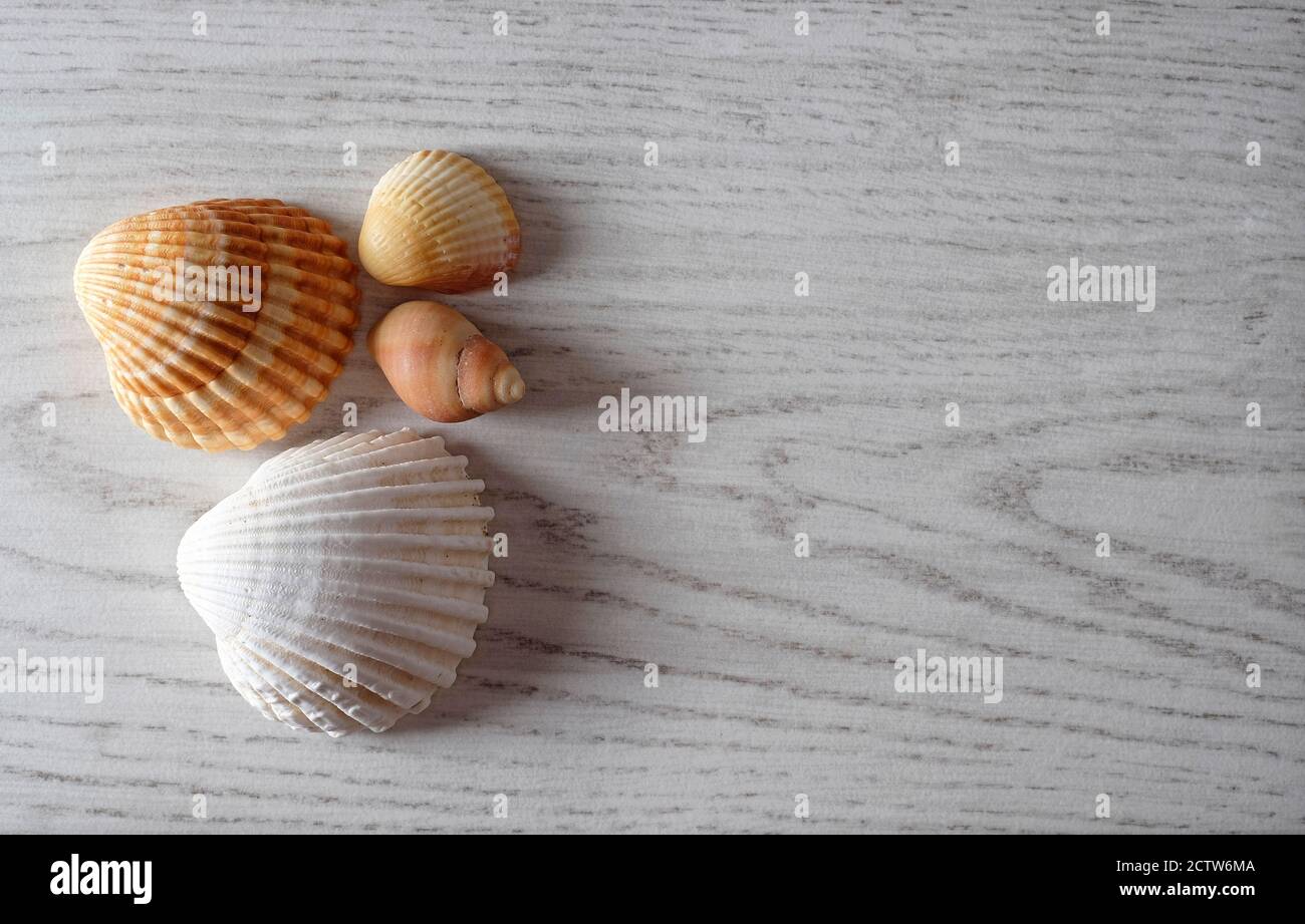 Bleached wood texture hi-res stock photography and images - Alamy