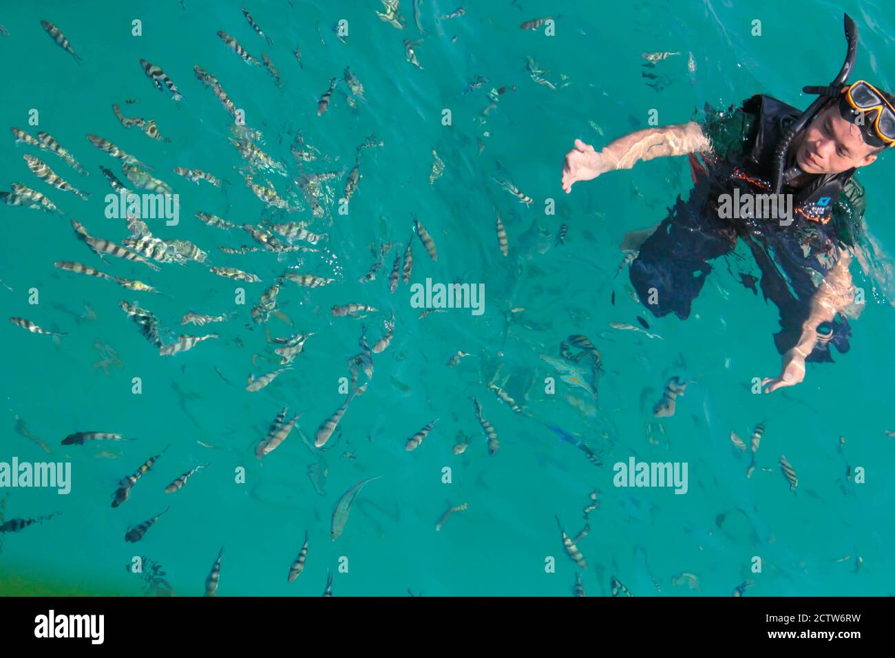 Floating body sea hi-res stock photography and images - Alamy