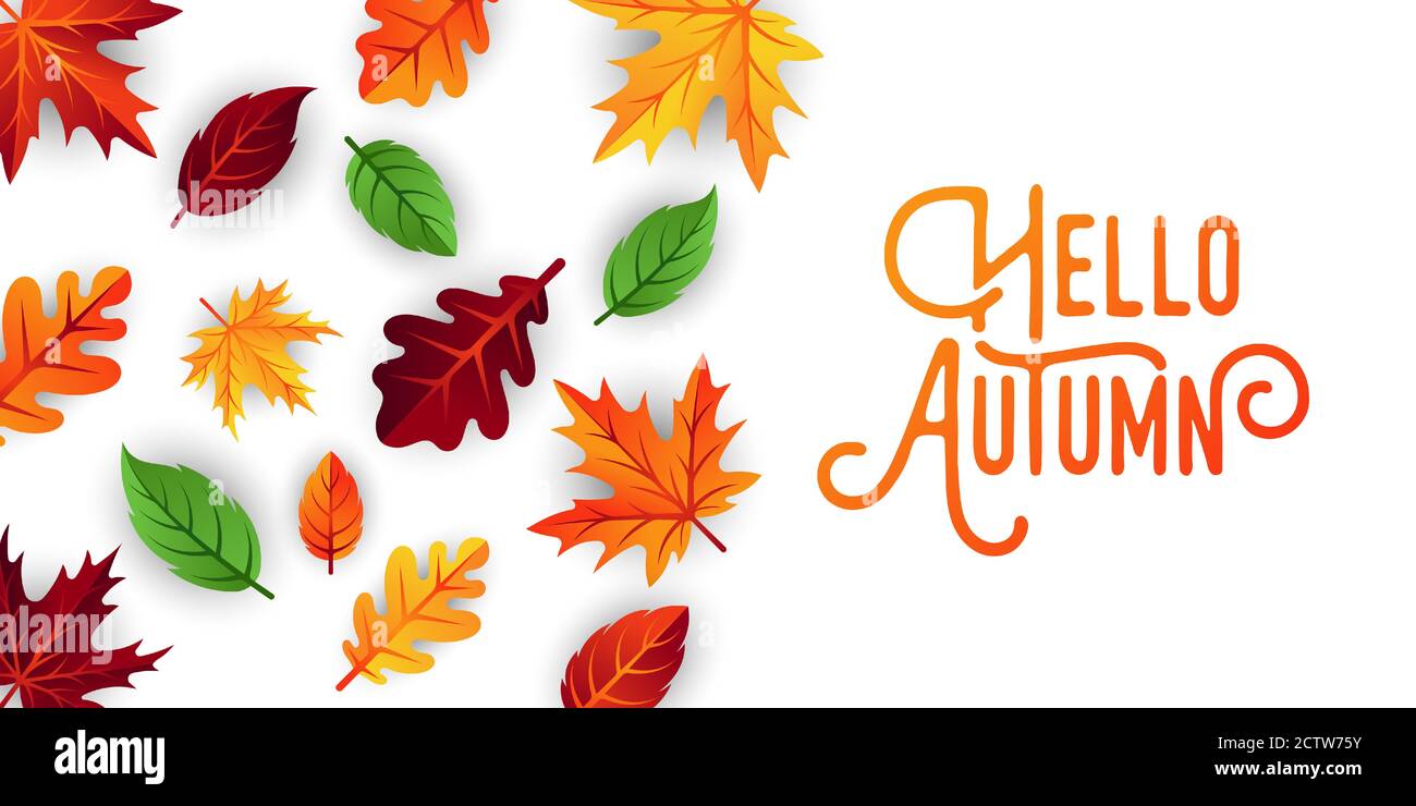 Autumn background vector with decorative leaves. Autumn fall Vector ...