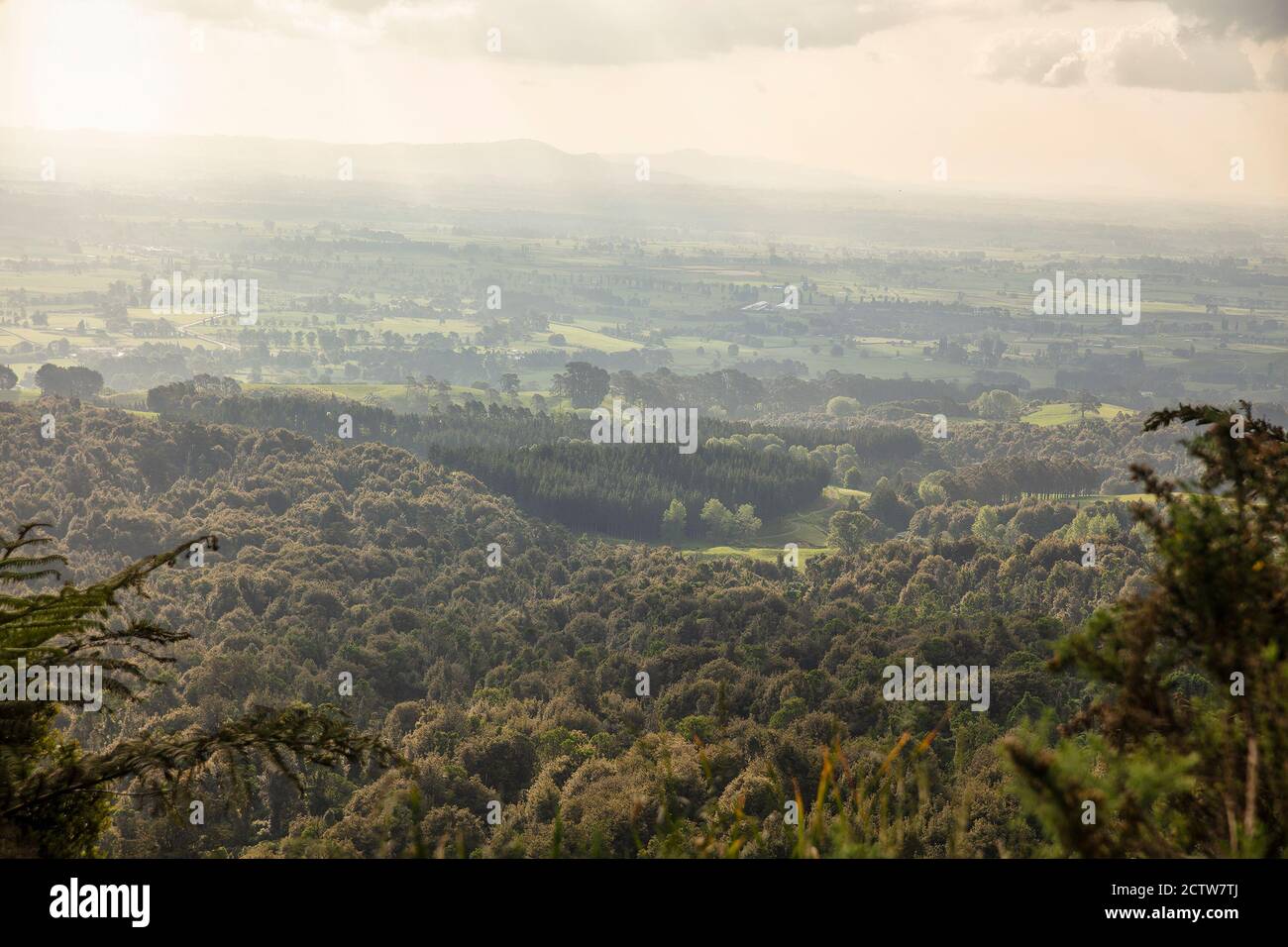 Scenic view taken from Kaimai Mamaku Lookout, an observation deck in ...