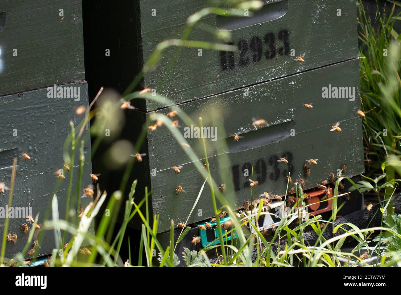 Wellington botanical garden hi-res stock photography and images - Alamy