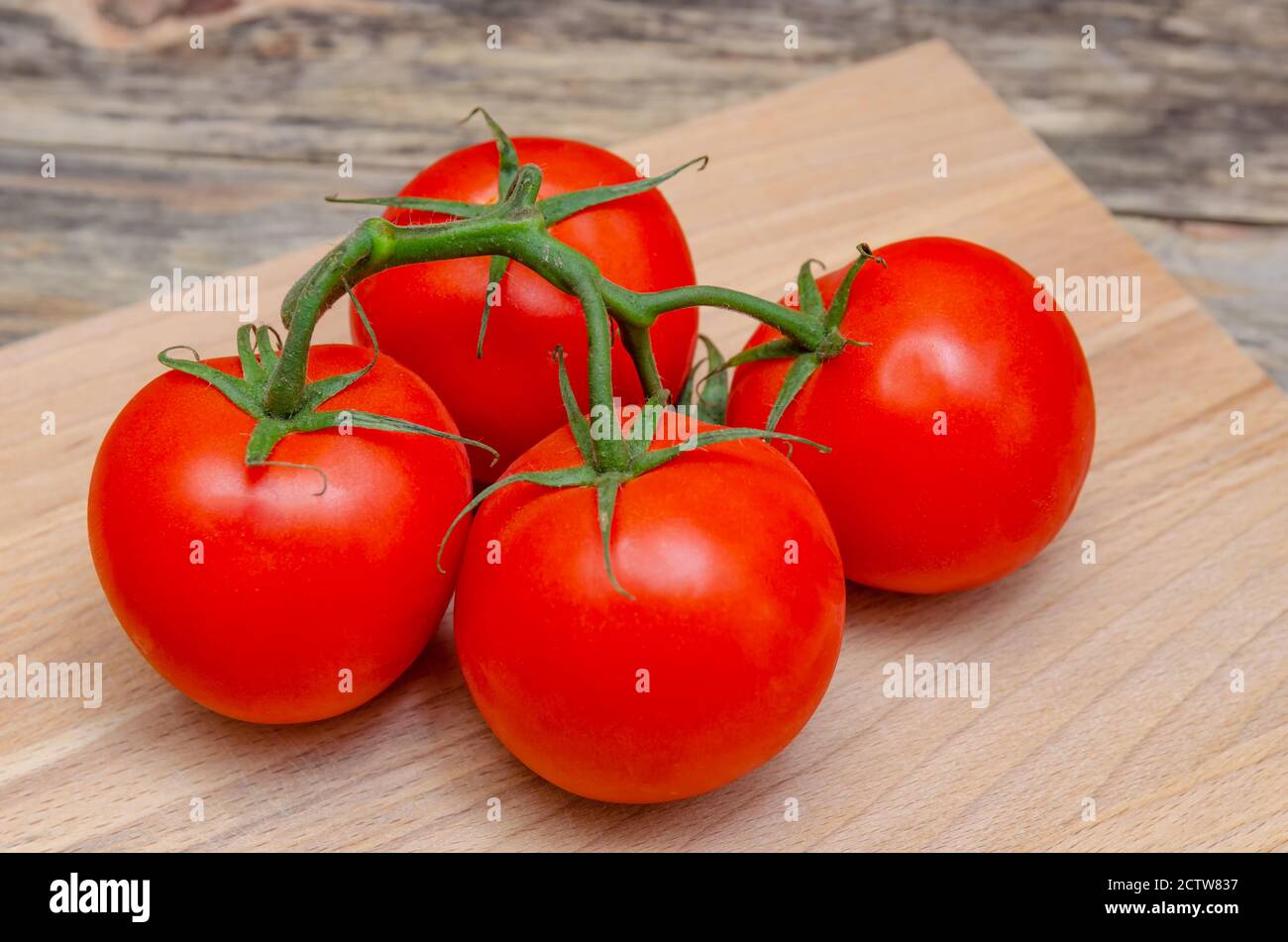 Fresh, ripe, juicy, red tomatoes on a branch close-up on a wooden stick ...