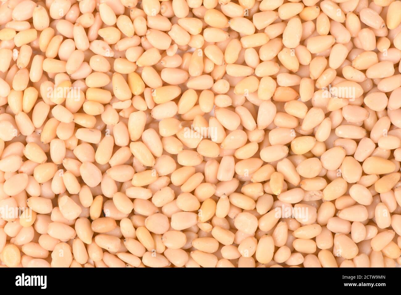 Nut high resolution hi-res stock photography and images - Alamy