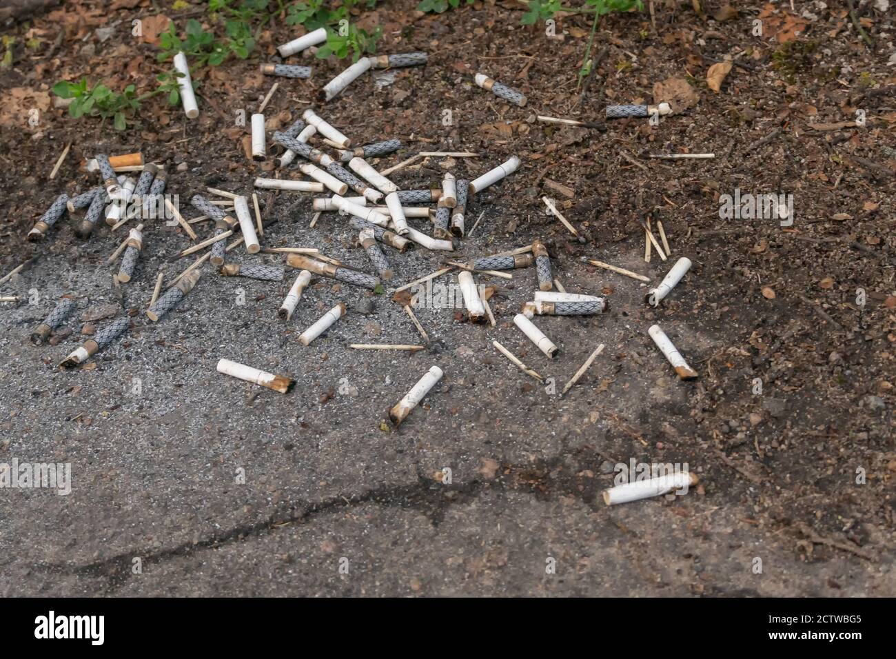 There are a lot of cigarette butts on the ground, copy space Stock ...
