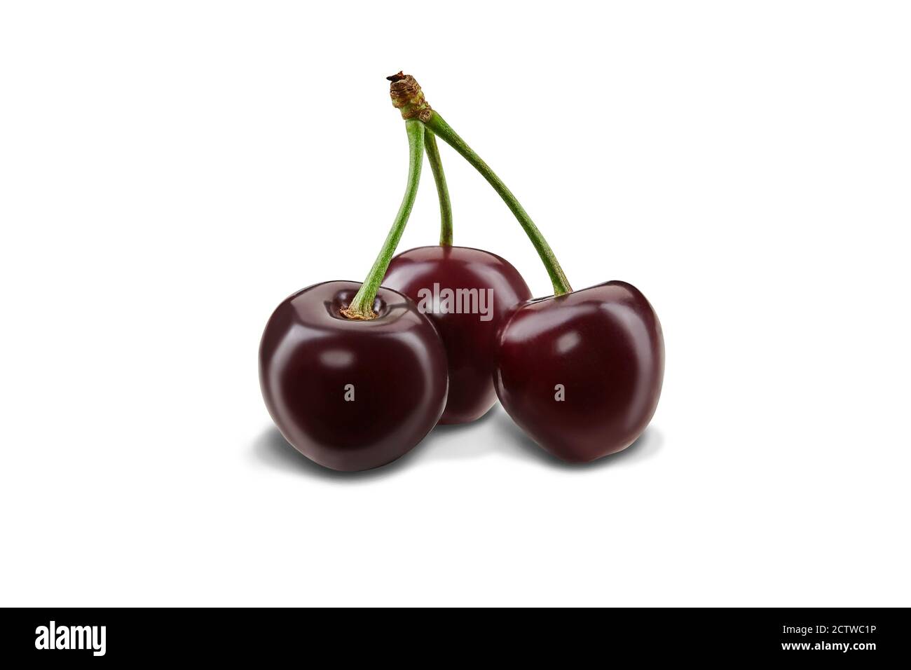 Three burgundy sweet cherries with stems isolated on white background ...