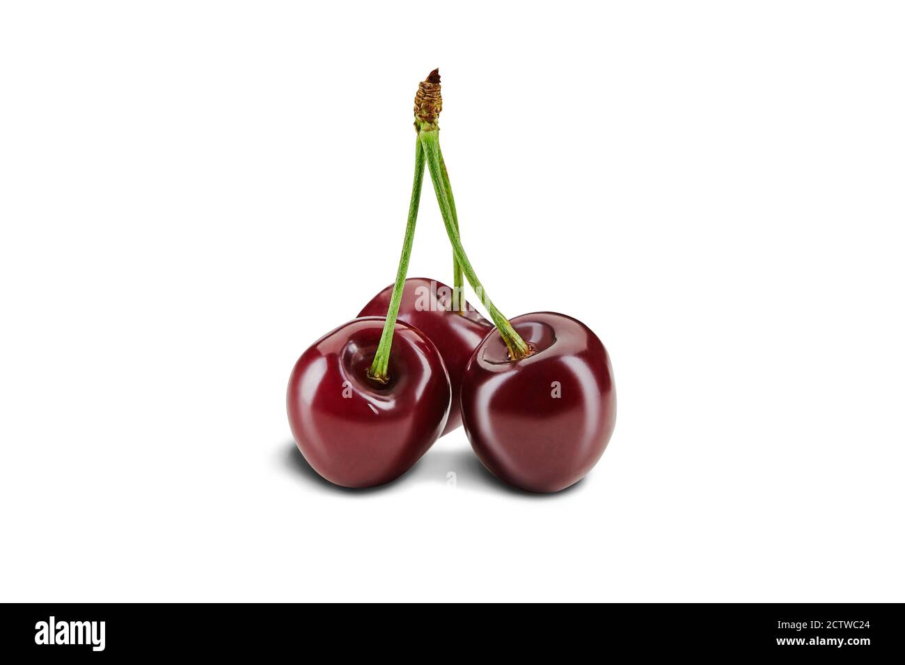 Three dark red sweet cherries with stems isolated on white background ...