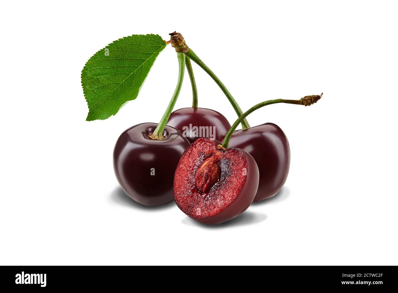 Three whole dark red sweet cherry fruits with green leaf and one cutted ...