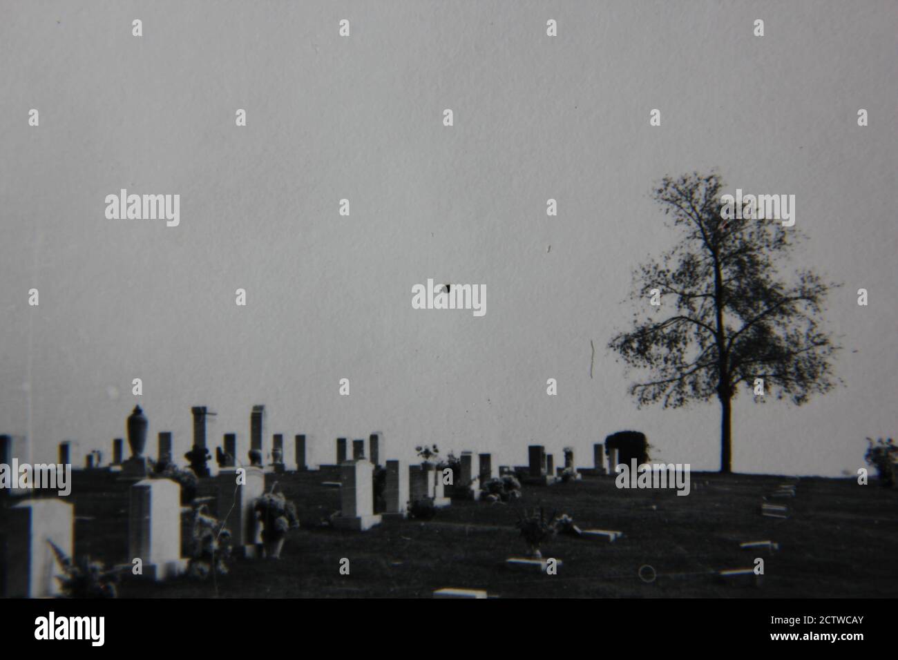Fine 1970s vintage black and white photography of gravestones standing ...