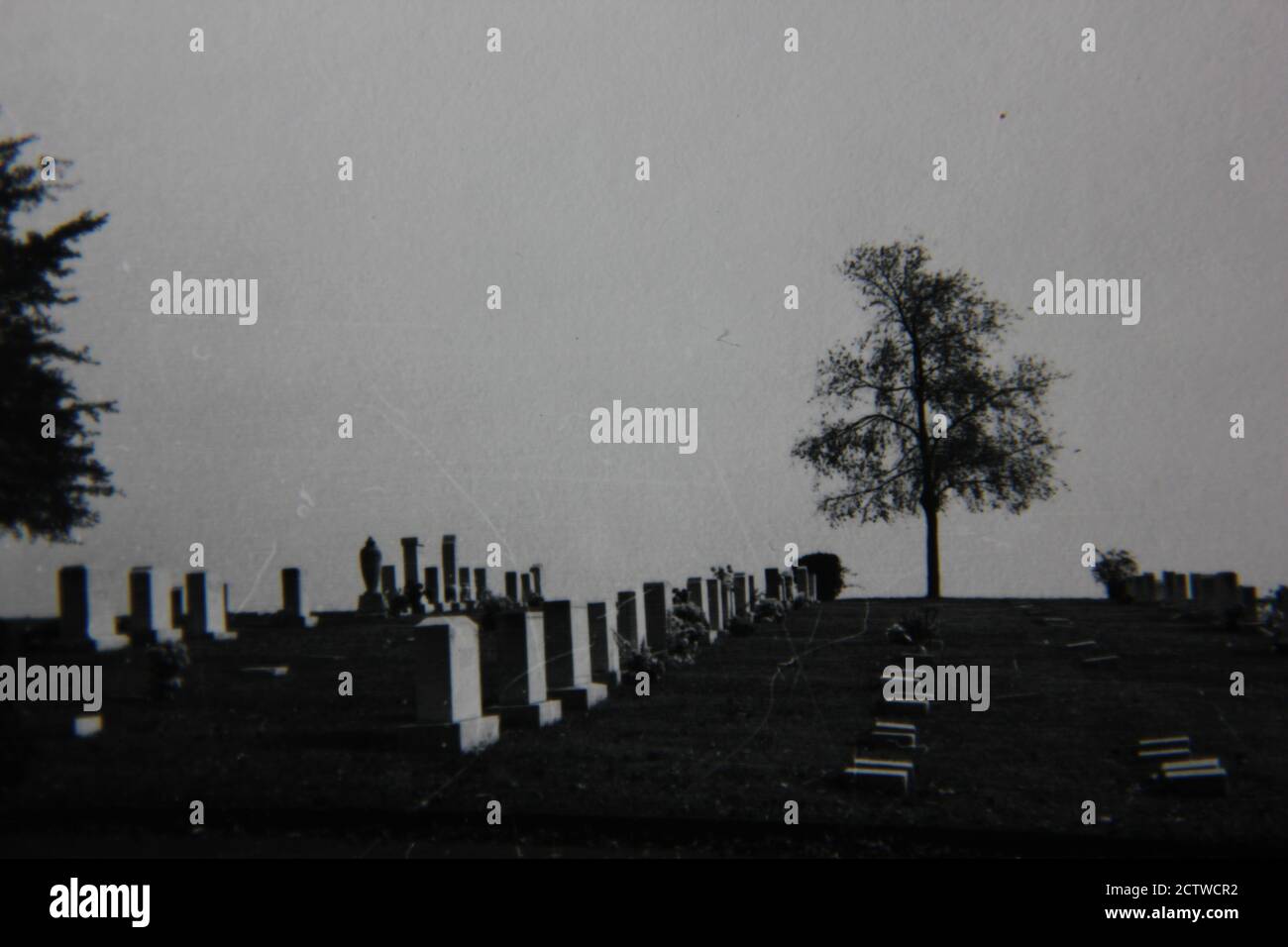 Fine 1970s vintage black and white photography of gravestones standing ...