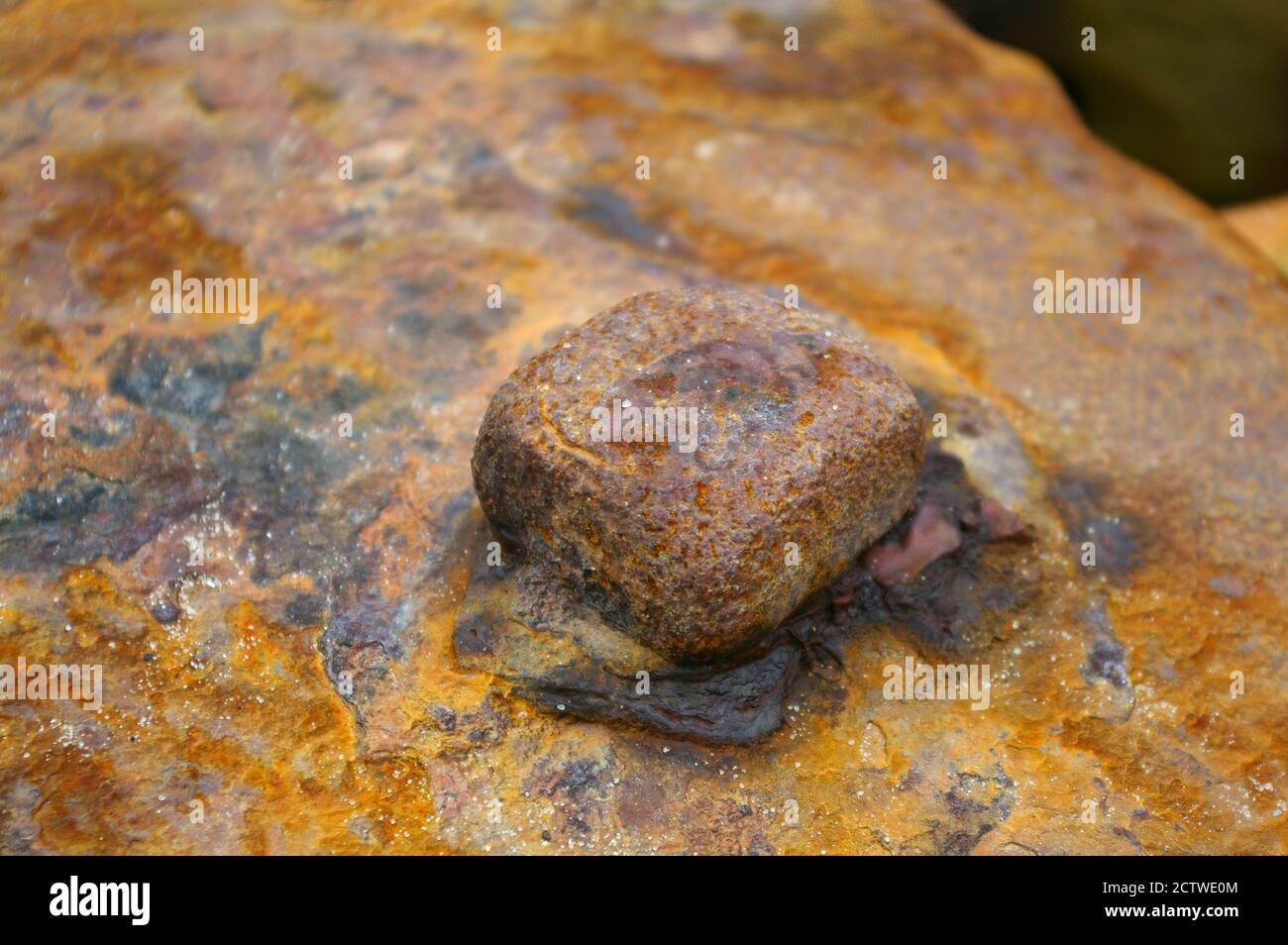 Pitted texture hi-res stock photography and images - Alamy