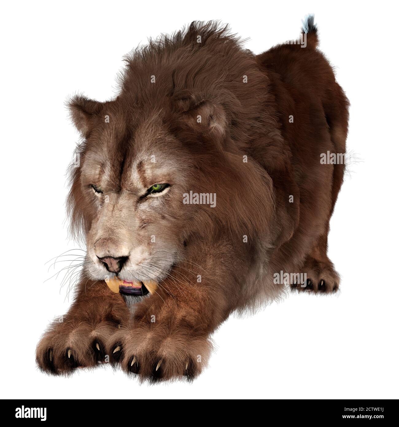 3D rendering of a brown sabertooth tiger isolated on white background ...