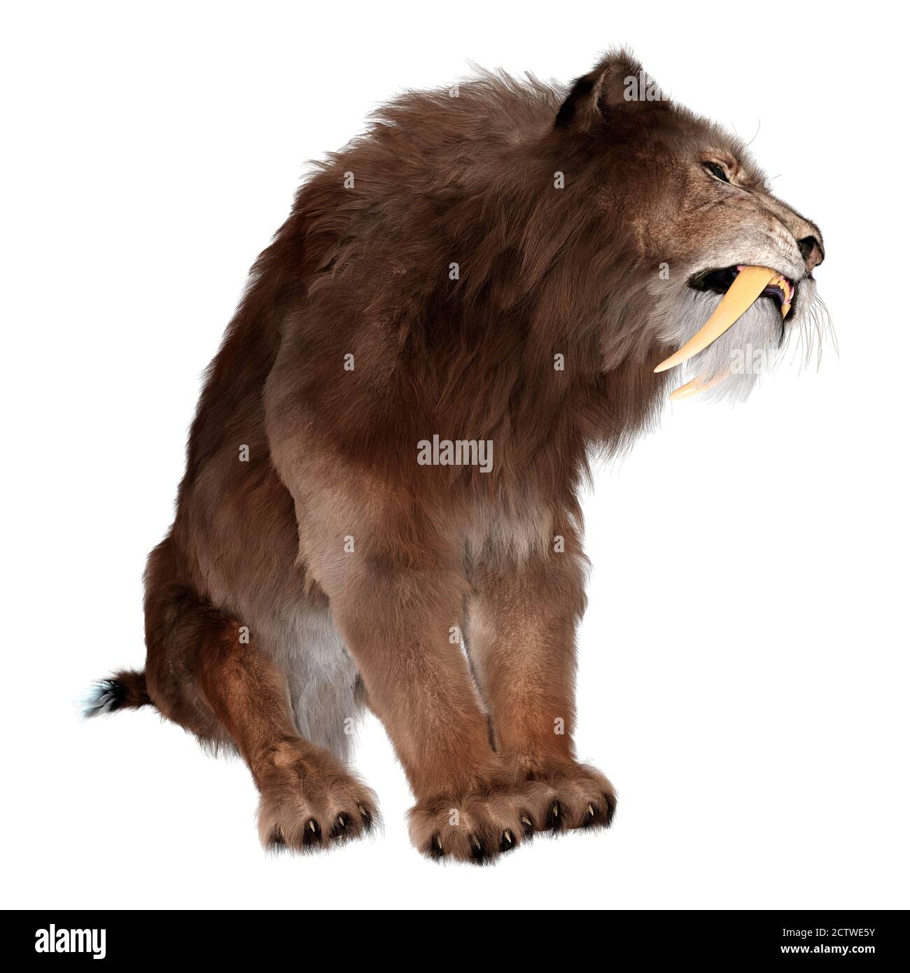 3D rendering of a brown sabertooth tiger isolated on white background ...