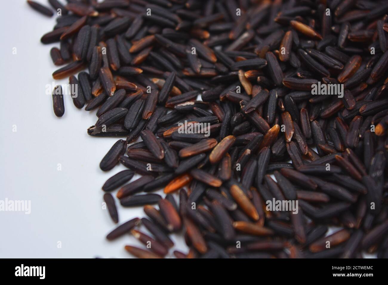 Useful black long unpolished wild rice sprinkled on a white plate ...