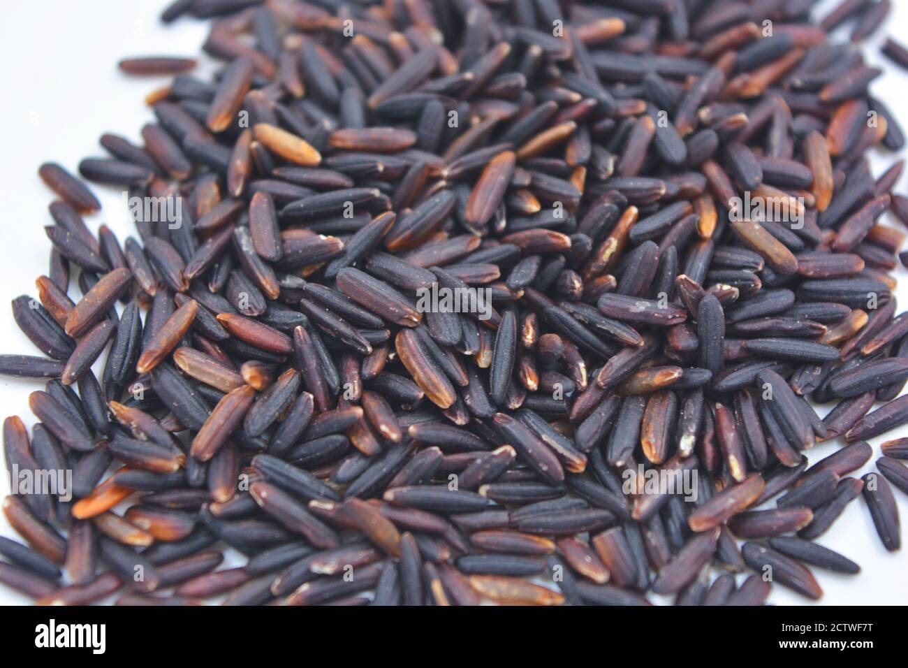 Useful black long unpolished wild rice sprinkled on a white plate ...